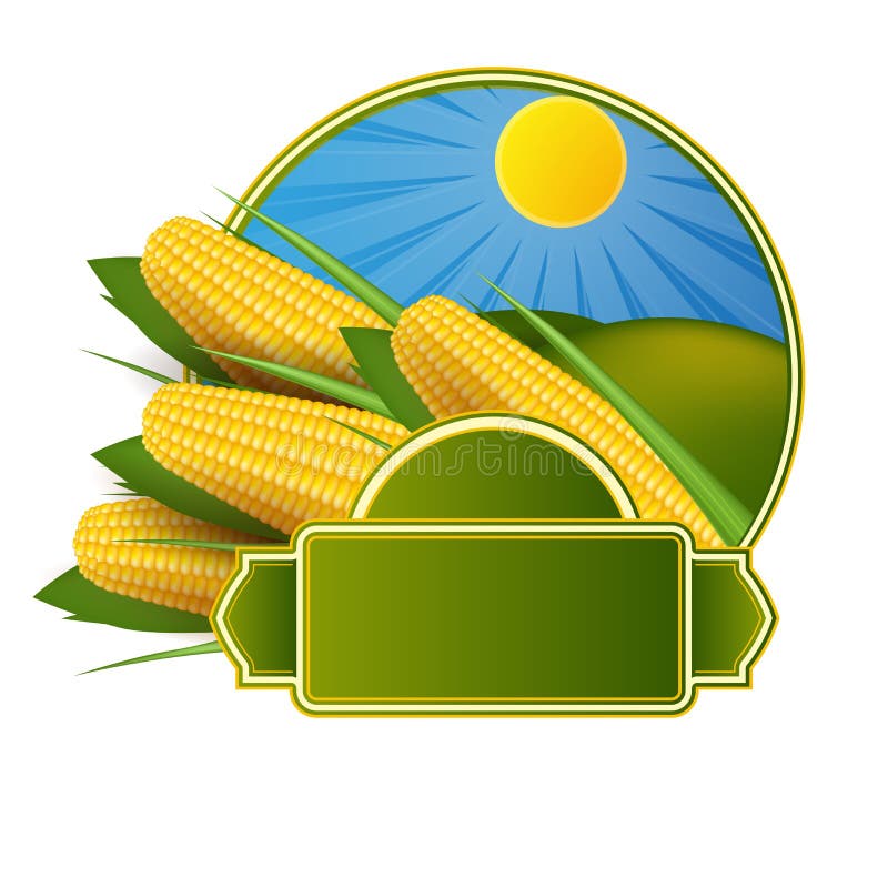 Cob Corn Plant Stock Illustrations – 7,252 Cob Corn Plant Stock ...