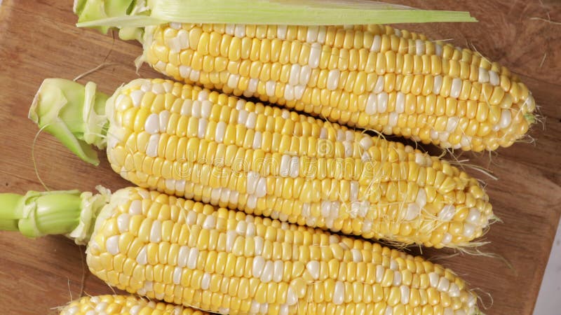 Corn Cob Maize Ready for Cooking Stock Footage - Video of ripe ...