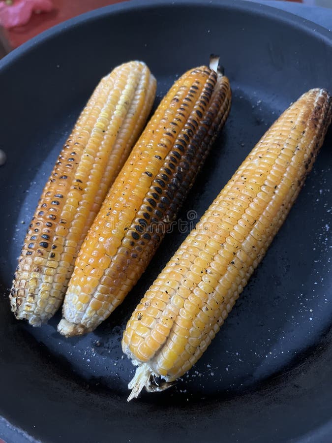 Roasted Corn on the cob stock photo. Image of harvest - 260867800