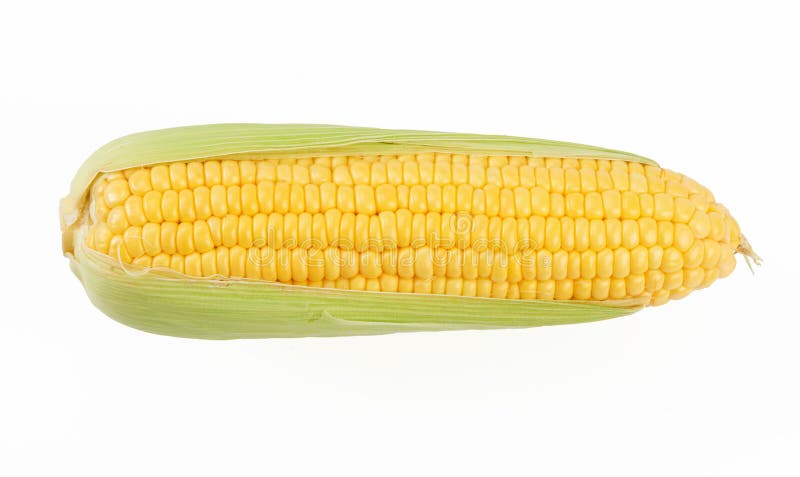 Single Corn Cob White Stock Images - Download 1,412 Royalty Free Photos