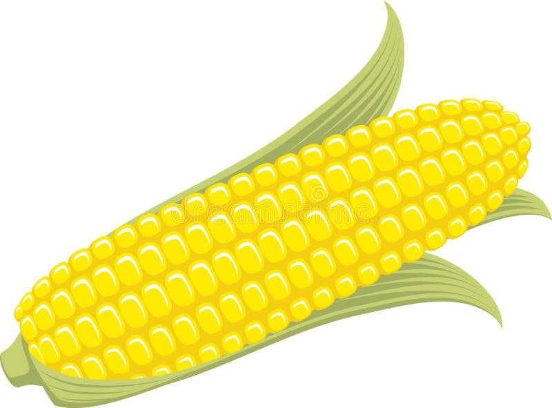 Corn on the Cob Sweetcorn with Leaves, Flat Graphic Vector Illustration ...