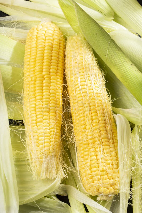Corn on the Cob on the Table, Sweet Corn Stock Photo - Image of meal ...