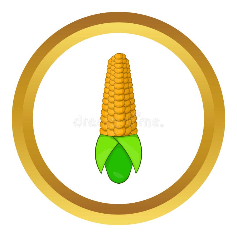 Corn Cob Vector Stock Illustrations – 10,530 Corn Cob Vector Stock ...