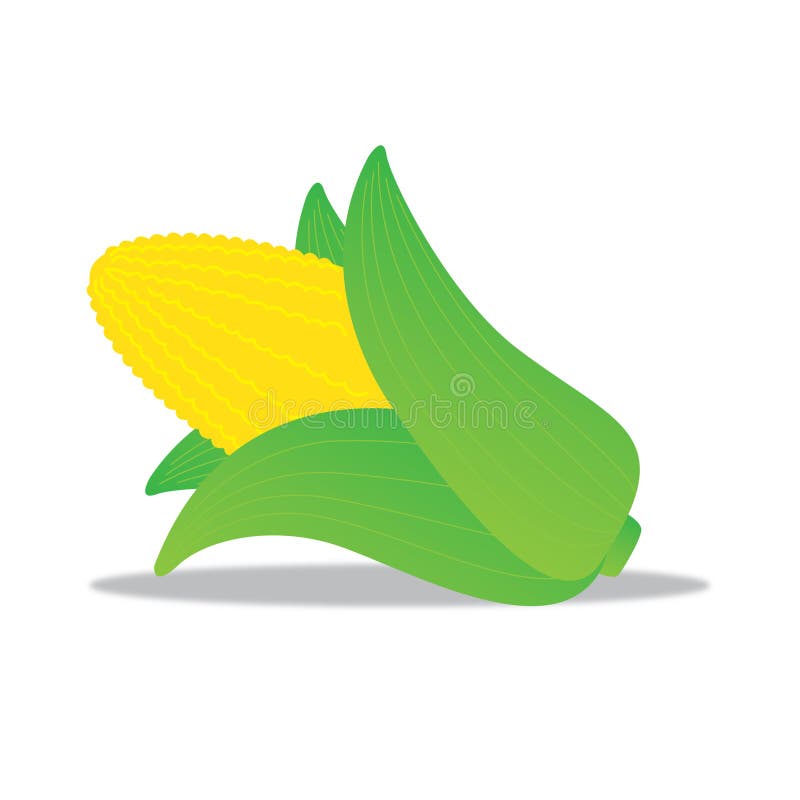 Corn Cob. Vector Illustration Decorative Design Stock Vector ...