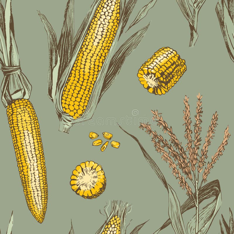 Corn on the Cob Vintage Design Seamless Pattern Stock Vector ...