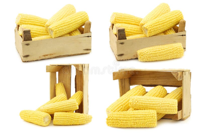Corn on the Cob in a Wooden Crate Stock Photo - Image of packaging ...