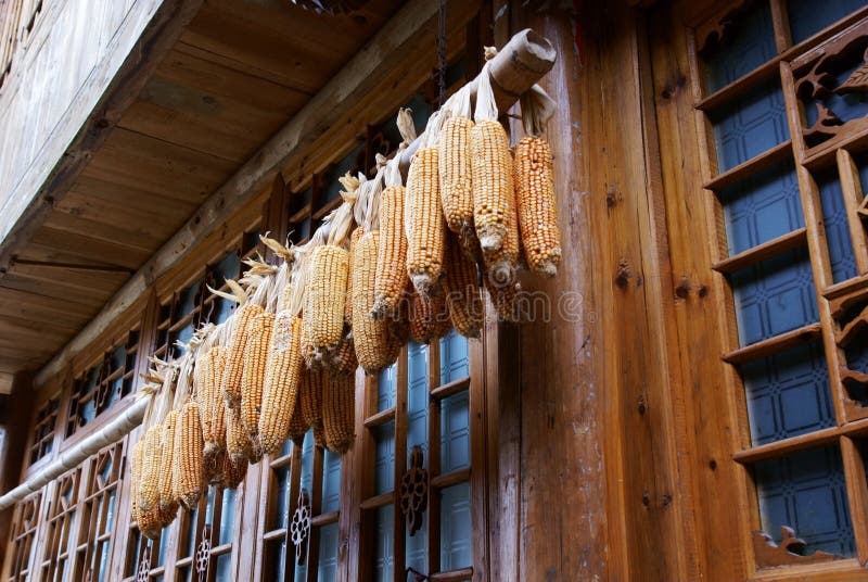 Corn cob with wooden house stock photo. Image of folk - 17562750