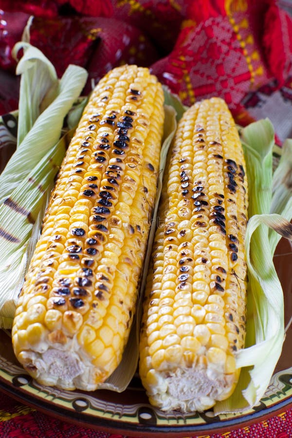 Corn Cobs stock image. Image of vegetable, organic, natural - 11098797