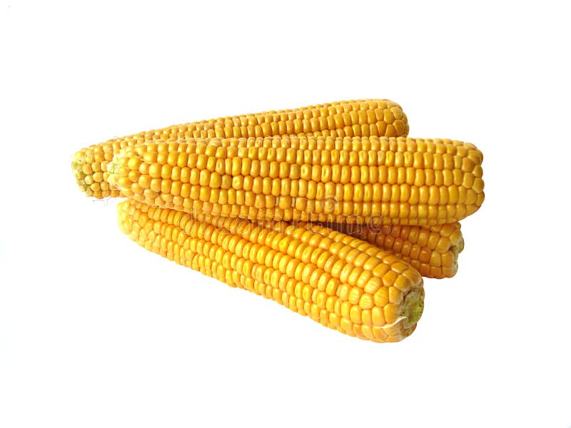 Criminal stock photo. Image of burglar, gangster, illegal - 2589348