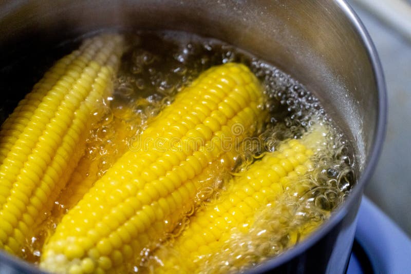 Corn Cobs Boiling in Hot Water Stock Image - Image of harvest, natural ...