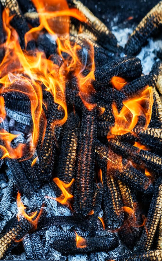 Burning corn cobs stock photo. Image of crisis, corn - 26387572