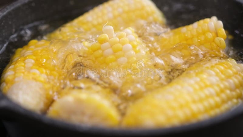 Corn Cobs Cooking in a Pot with Boiling Hot Water Stock Footage - Video ...