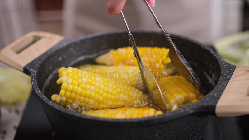Corn Cobs Cooking in a Pot with Boiling Hot Water Stock Footage - Video ...
