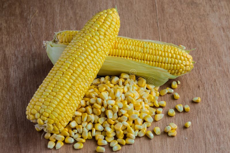 Corn Cobs and Corn Grains on Wood Background Stock Image - Image of ...