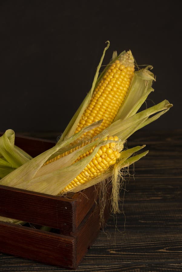 Corn Cobs in a Decorative Box on a Wooden Table Stock Image - Image of ...