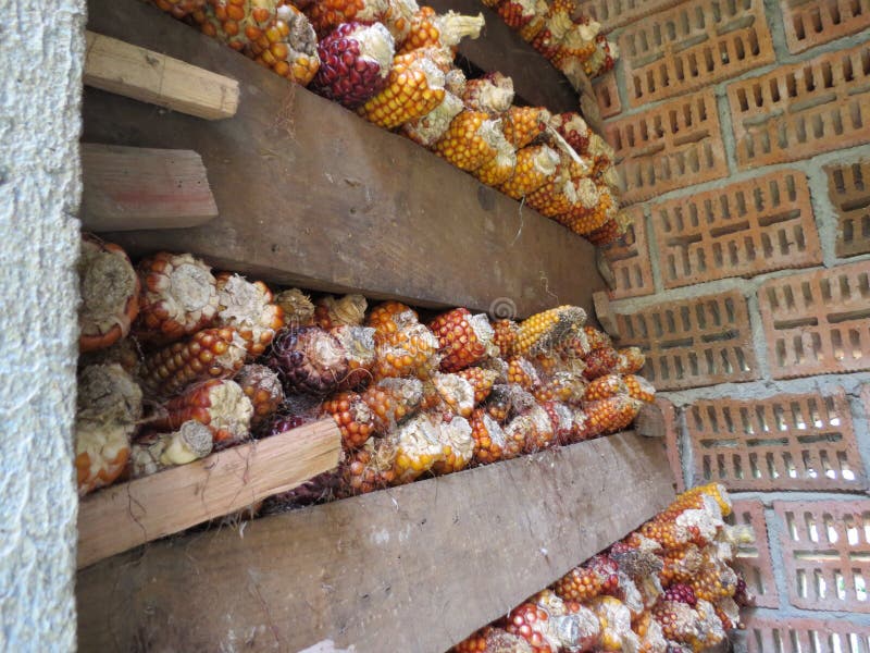 273 Inside Granary Stock Photos - Free & Royalty-Free Stock Photos from ...