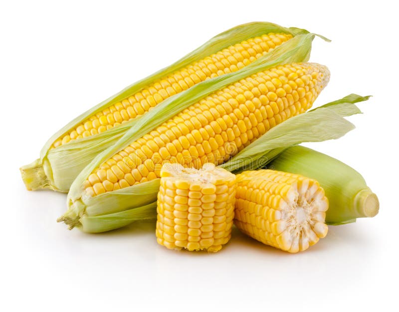Broken Maize Kernel Stock Photos - Free & Royalty-Free Stock Photos ...