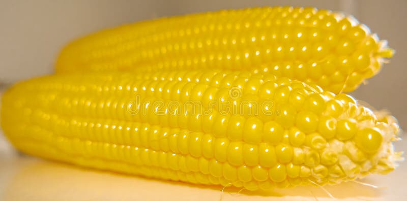 Corn Cobs Lie in a Plate on the Table, Vegetarian Food Stock Photo ...