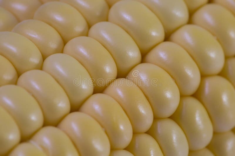 Corn cobs. macro stock photo. Image of gold, cereal, sweet - 71988948