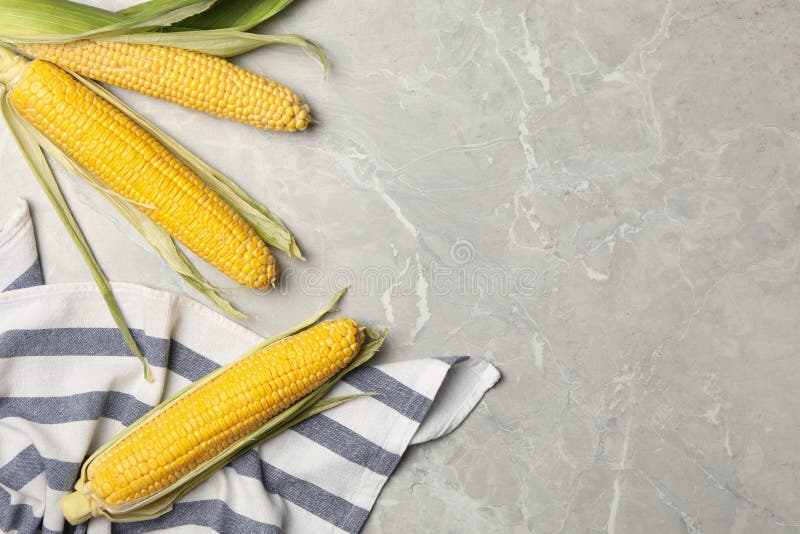 Corn Cobs on Marble Table, Flat Lay. Space for Text Stock Image - Image ...