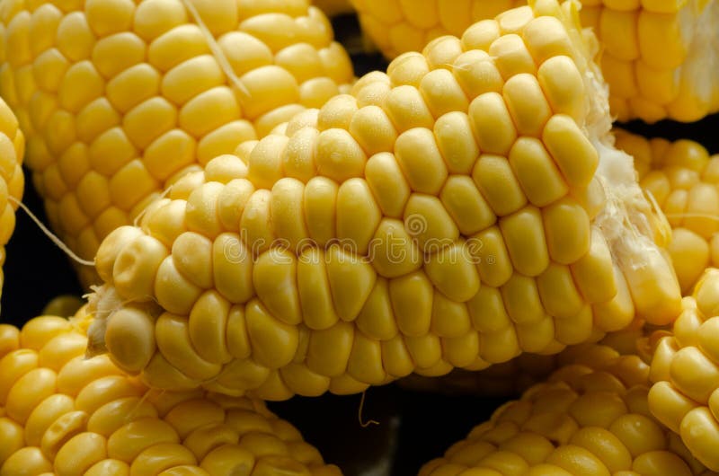 Corn Cobs in Pieces. Close-up View Stock Image - Image of appetizing ...