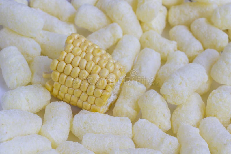 Corn Cobs among Corn Sticks, Top View Stock Image - Image of ...