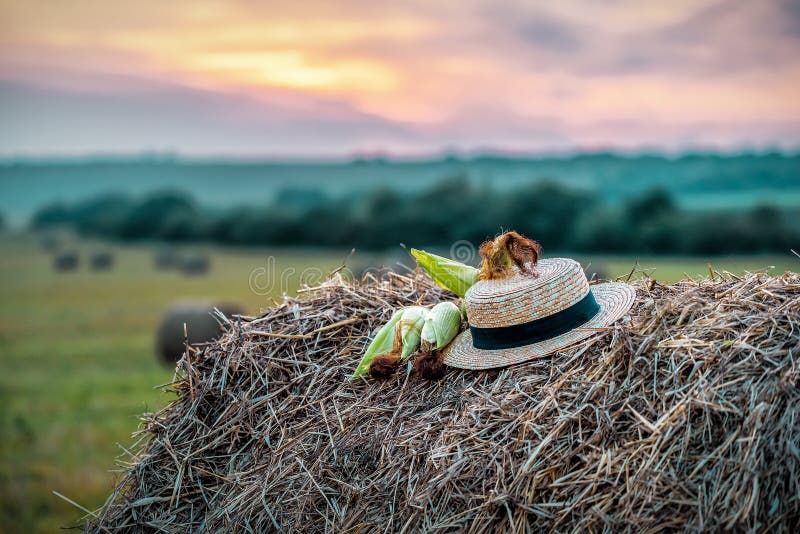Corn Cobs and Straw Hat on the Hay Bale at Sunset Stock Image - Image ...