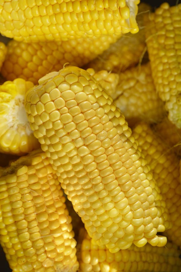 Corn cobs stock image. Image of halved, natural, detail - 299426841