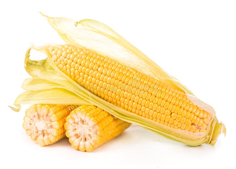 Corn Cobs on White Background. Raw Corn with Green Leaves on a White ...