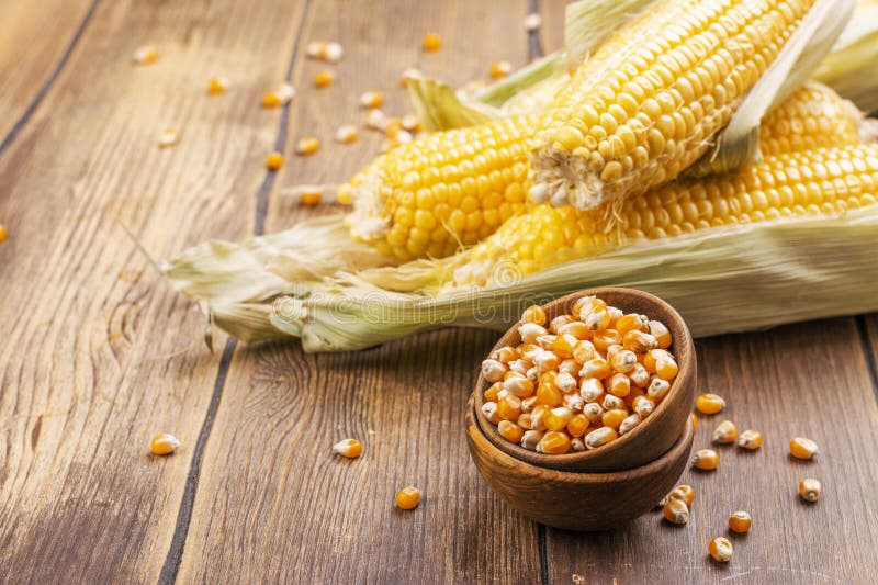 Corn cobs on wooden table stock photo. Image of grain - 280274856