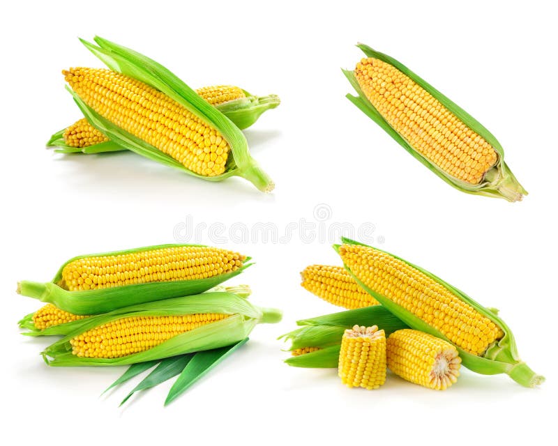 Corn collection stock image. Image of yellow, close, produce - 85096225