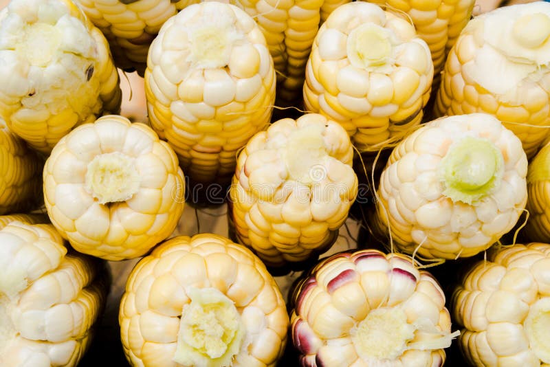 Corn 3 color stock photo. Image of farming, color, grain - 38908962