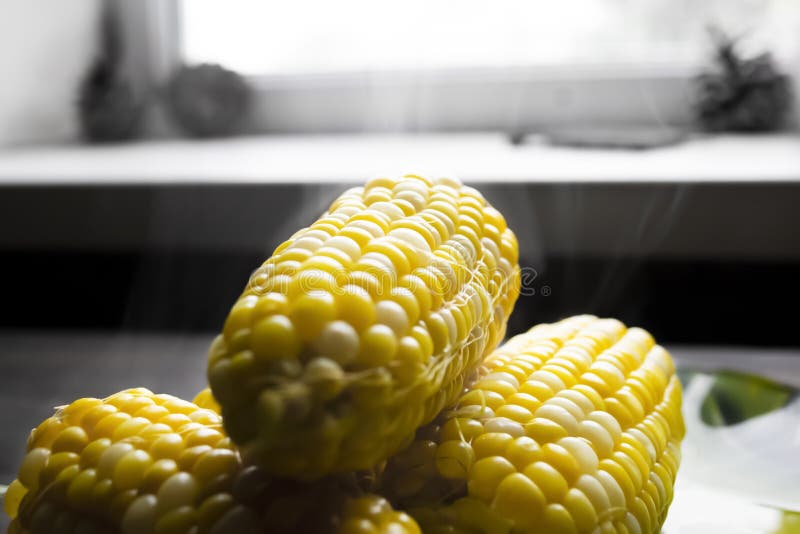 From the Corn Comes Steam. Bright Heads of Hot Corn on a Gray ...