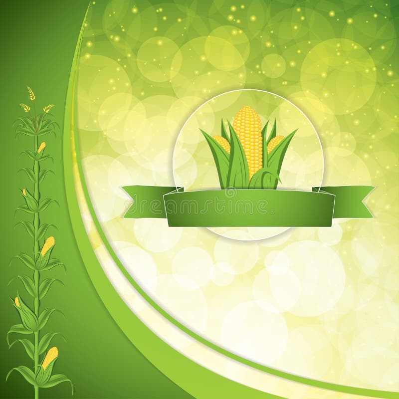 Corn stock vector. Illustration of grain, food, agriculture - 76312851