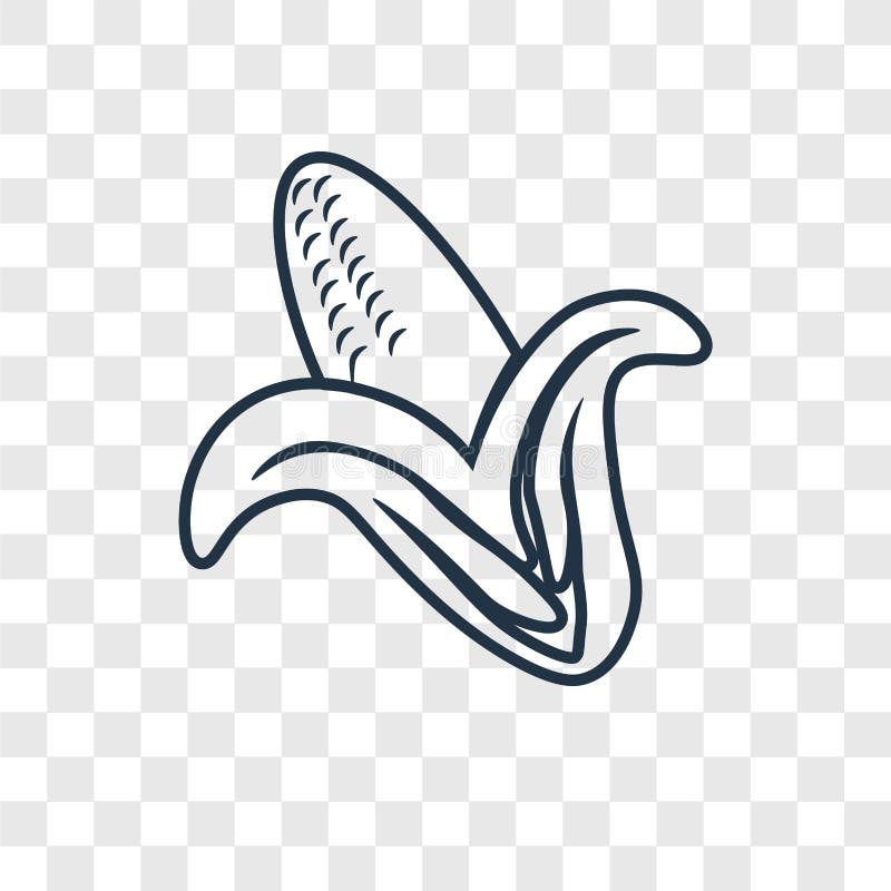 Corn Concept Vector Linear Icon Isolated on Transparent Background ...