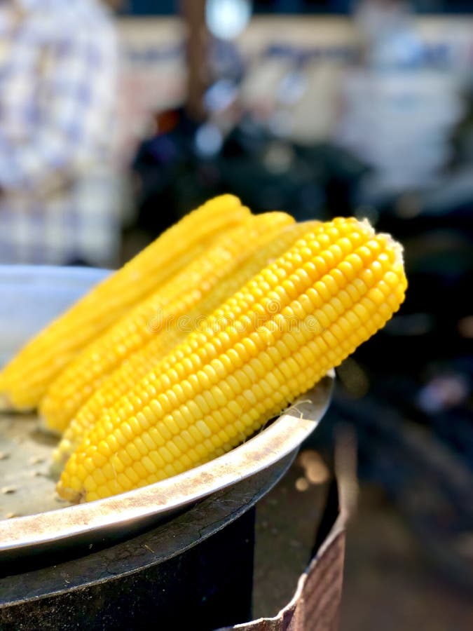 Corn stock image. Image of yellow, maize, corn, food - 190967257