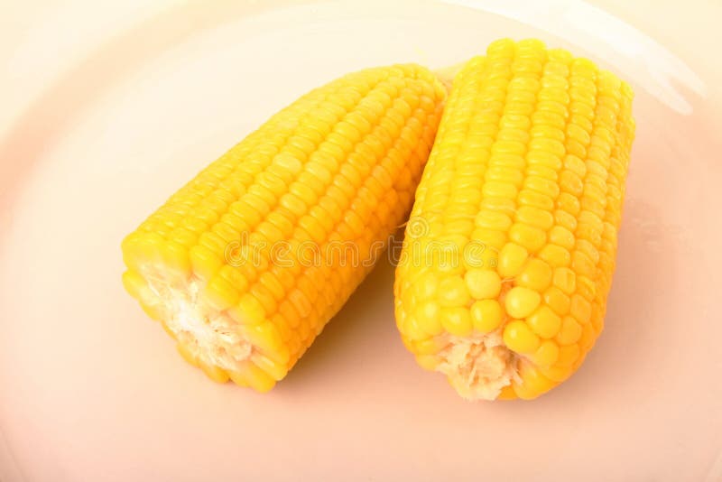 Corn stock photo. Image of vegetable, dish, food, meal - 46915880