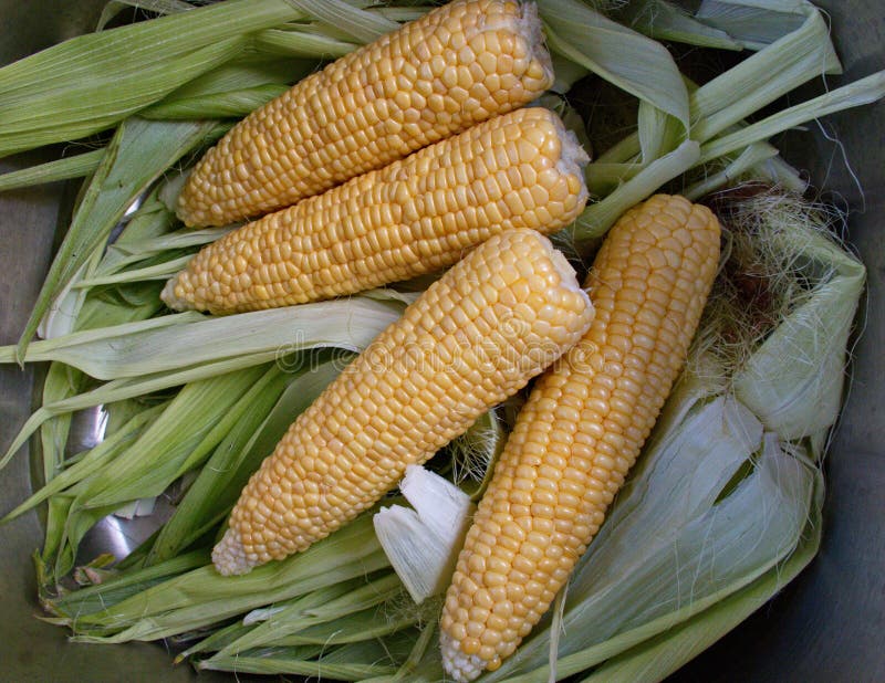 Corn cop stock image. Image of corn, meal, culinary, fresh - 94941433