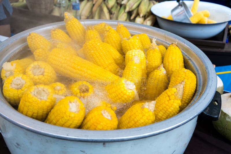 Corn Cops Boiling in Hot Water Stock Photo - Image of lunch, corn: 95842232