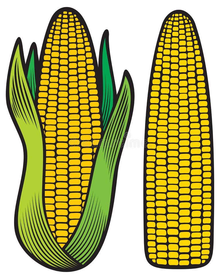 Leaves Corn Stock Illustrations – 22,829 Leaves Corn Stock ...