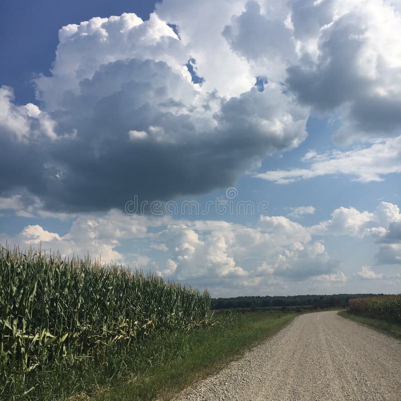 Corn Country stock photo. Image of skyview, indiana - 161134576
