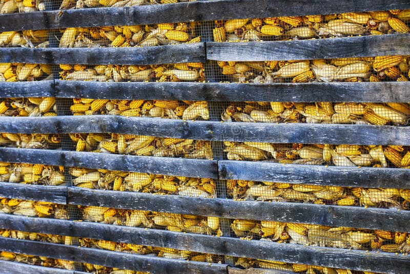 Corn crib on a farm. stock image. Image of soil, background - 292942757