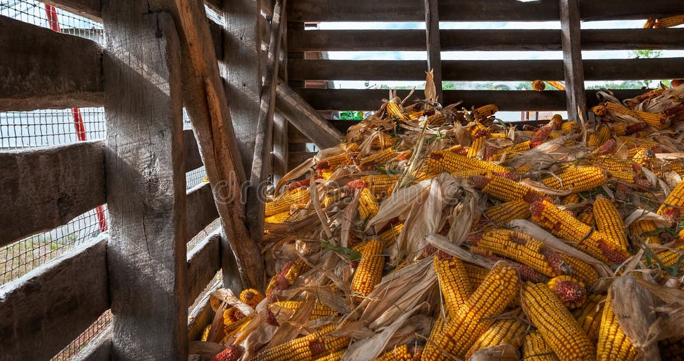 383 Corn Crib Stock Photos - Free & Royalty-Free Stock Photos from ...