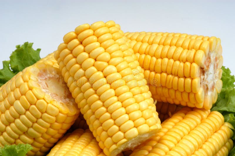Corn Cut stock image. Image of husk, eating, corn, single - 9958671