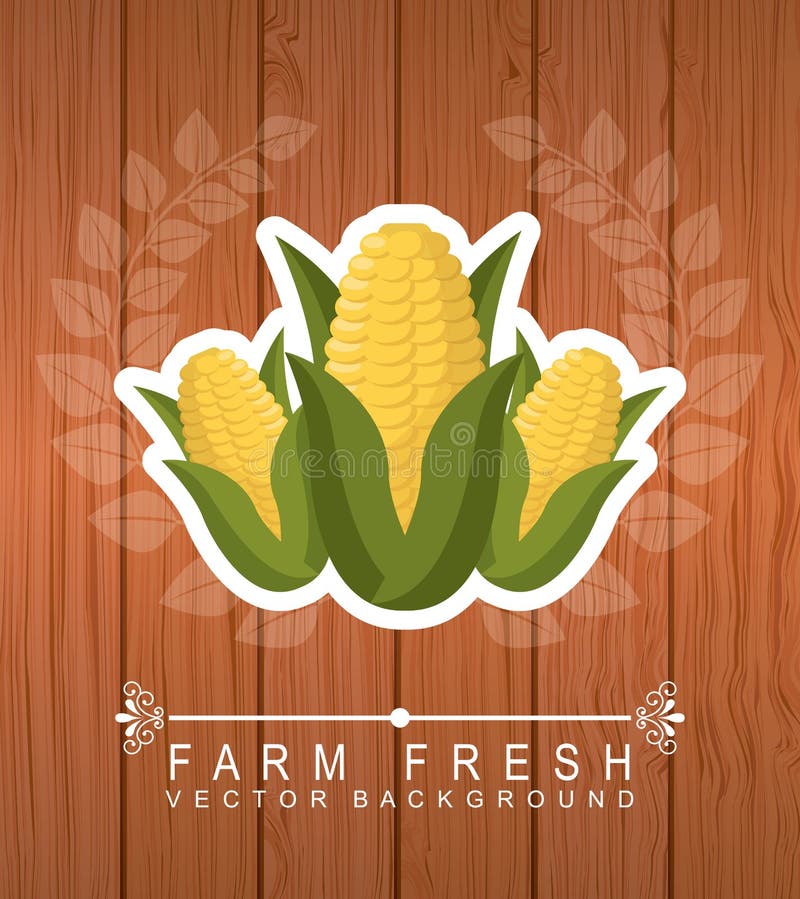 Corn design stock vector. Illustration of product, label - 44891343