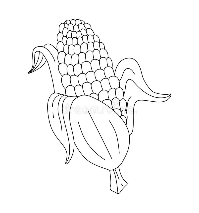 Corn Doodle Vector Illustration Coloring Book for Kids Stock Vector ...