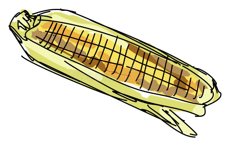 Corn Drawing, Illustration, Vector Stock Vector - Illustration of ...