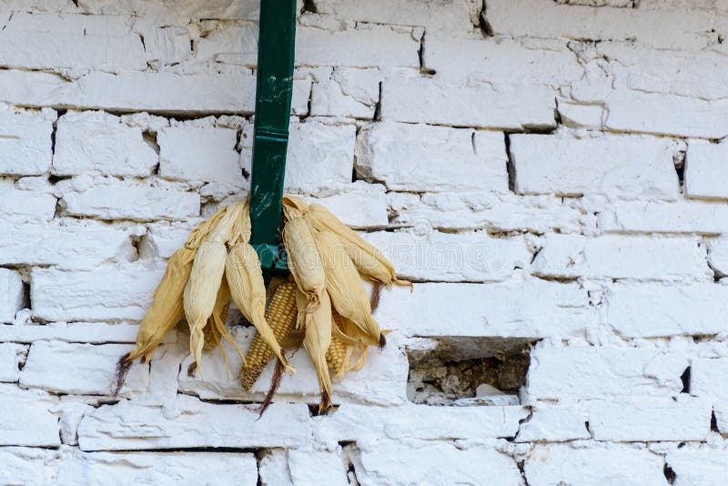 Corn drying rack stock image. Image of tibetan, transparent - 26972933