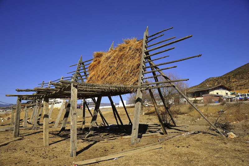 Corn drying rack stock image. Image of tibetan, transparent - 26972933