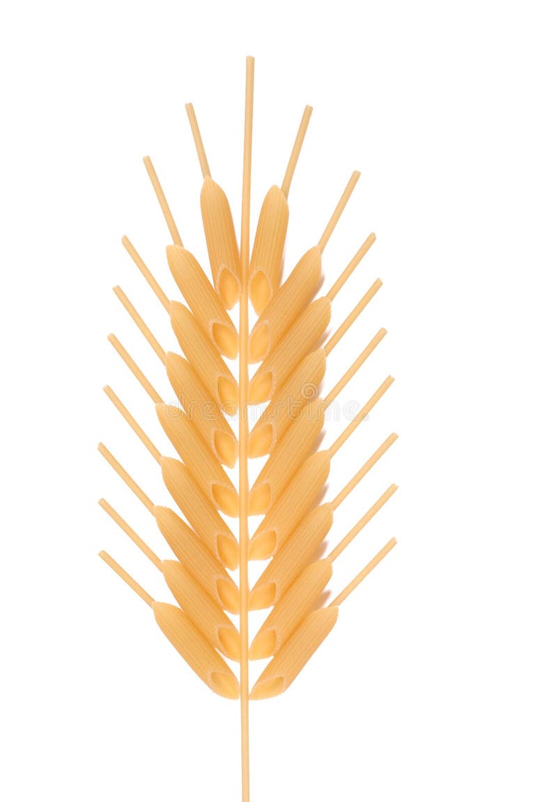 25,815 White Ear Corn Stock Photos - Free & Royalty-Free Stock Photos ...